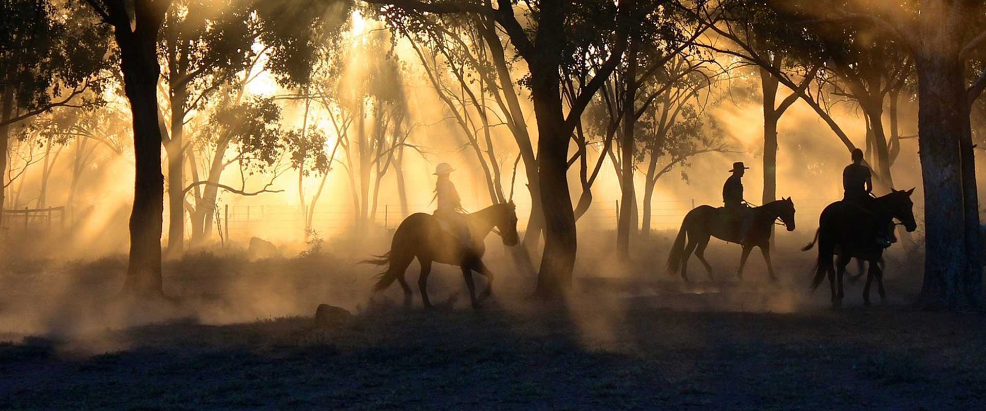 Dwellingup, Western Australia | Where Trails Meet